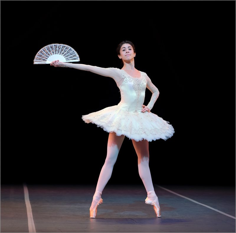 Russian Ballet Icons – Derwood Photography