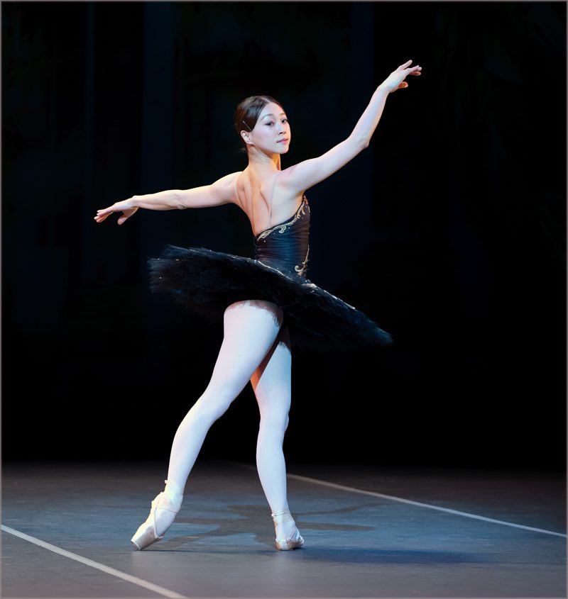 Russian Ballet Icons – Derwood Photography