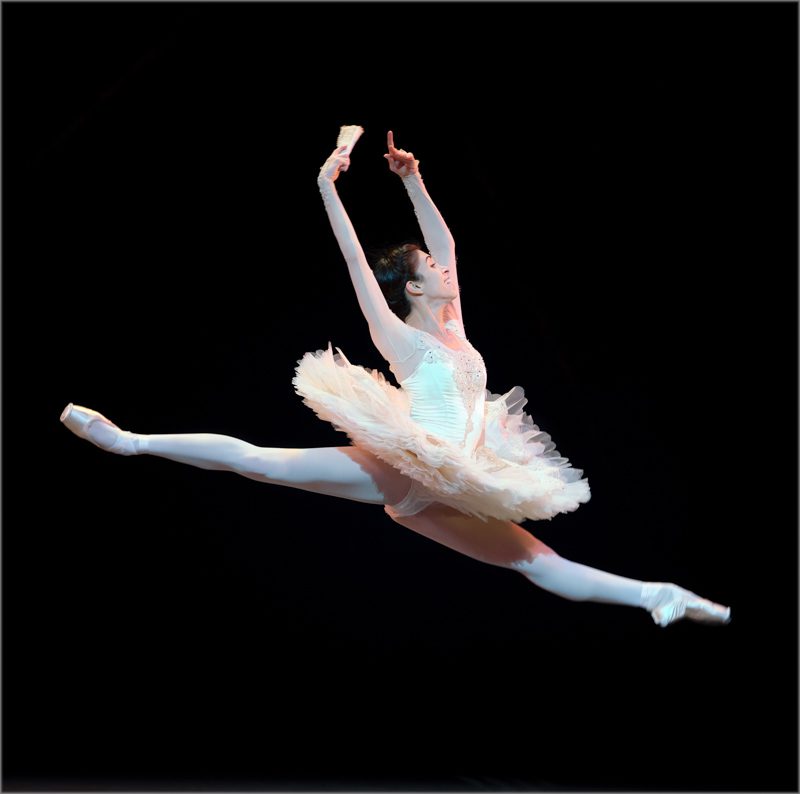 Russian Ballet Icons – Derwood Photography